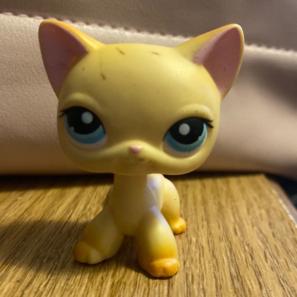 Hasbro | Bottoms | Authentic Brooke Hayes Littlest Pet Shop Lps | Poshmark